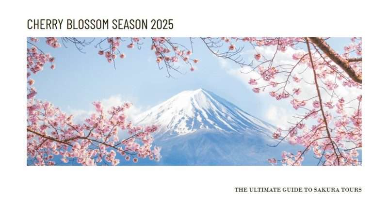 Cherry Blossom Season in Japan: A Guide to Sakura Viewing 2025